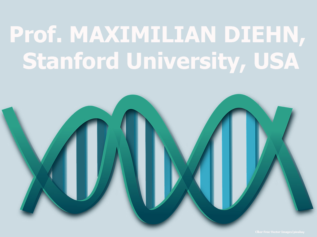 Circulating Tumor DNA Analysis for Detection and Molecular ...